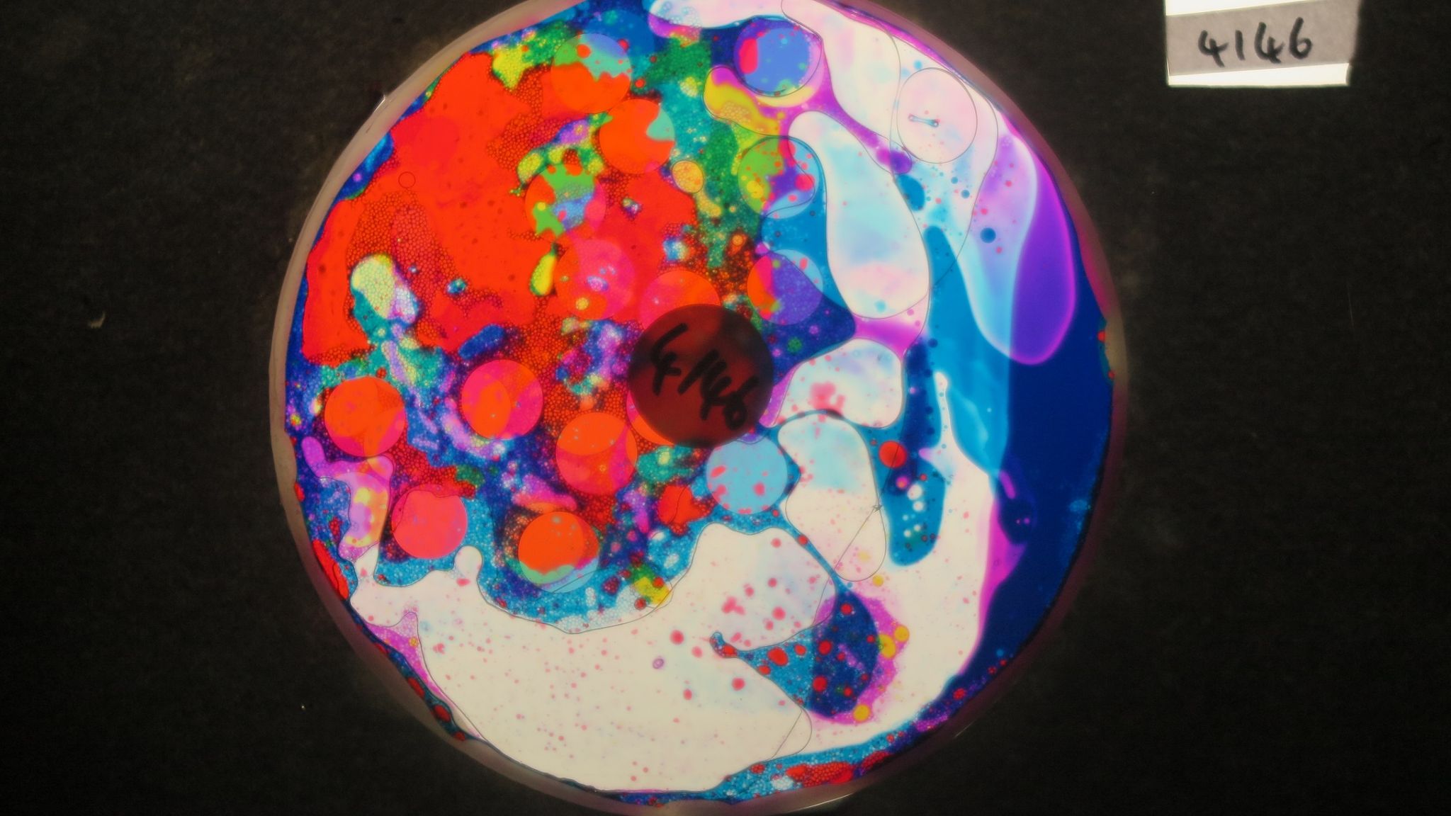 Bubble Vision analogue projection oil wheels effects and lightshows