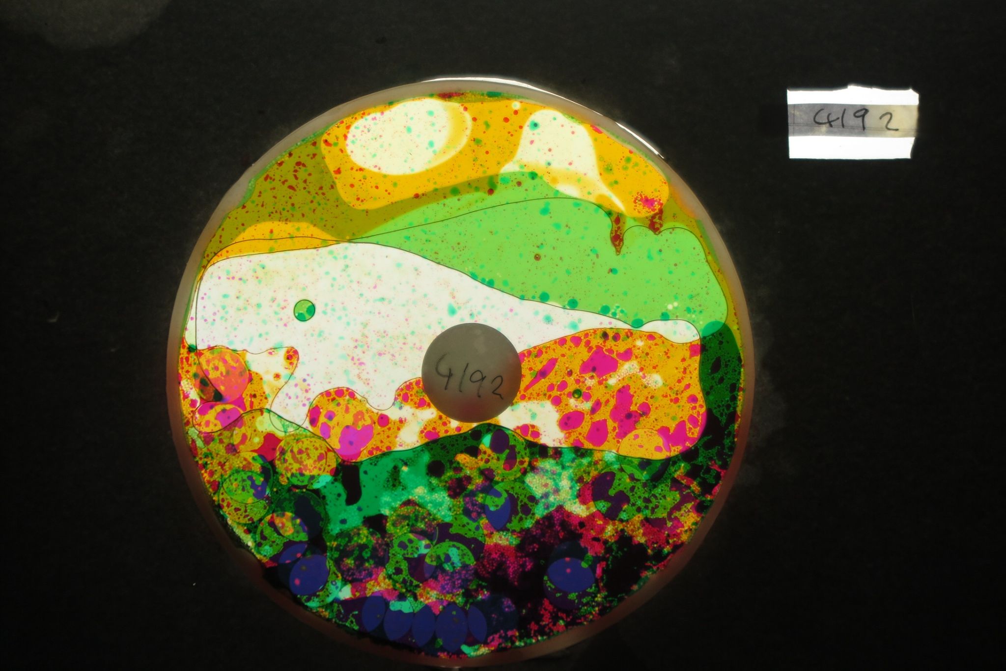 Bubble Vision analogue projection oil wheels effects and lightshows