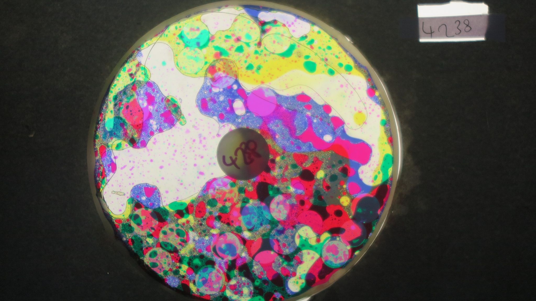 Bubble Vision analogue projection oil wheels effects and lightshows