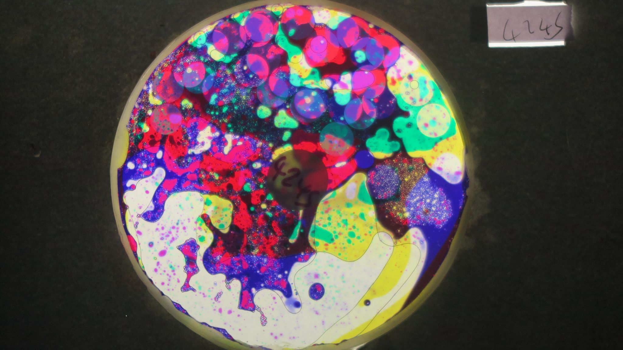 Bubble Vision analogue projection oil wheels effects and lightshows