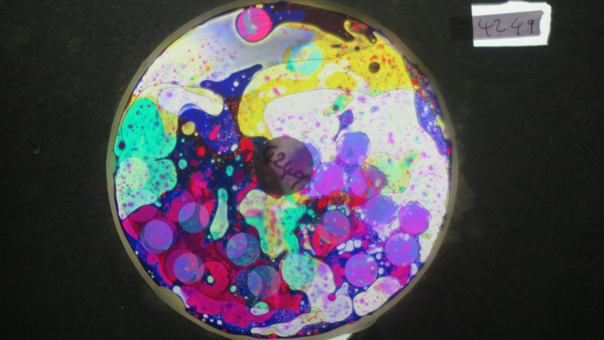 Bubble Vision analogue projection oil wheels effects and lightshows