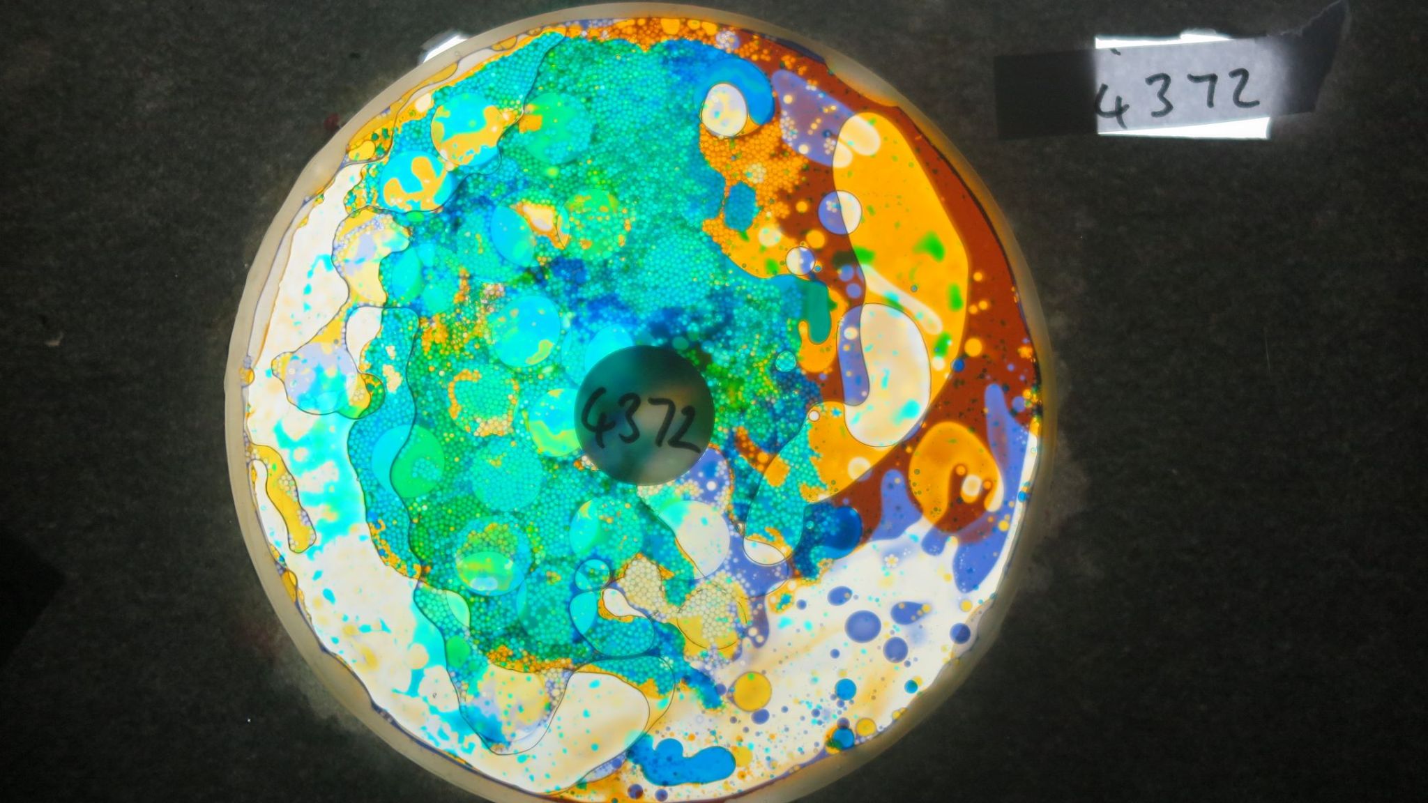 Bubble Vision analogue projection oil wheels effects and lightshows