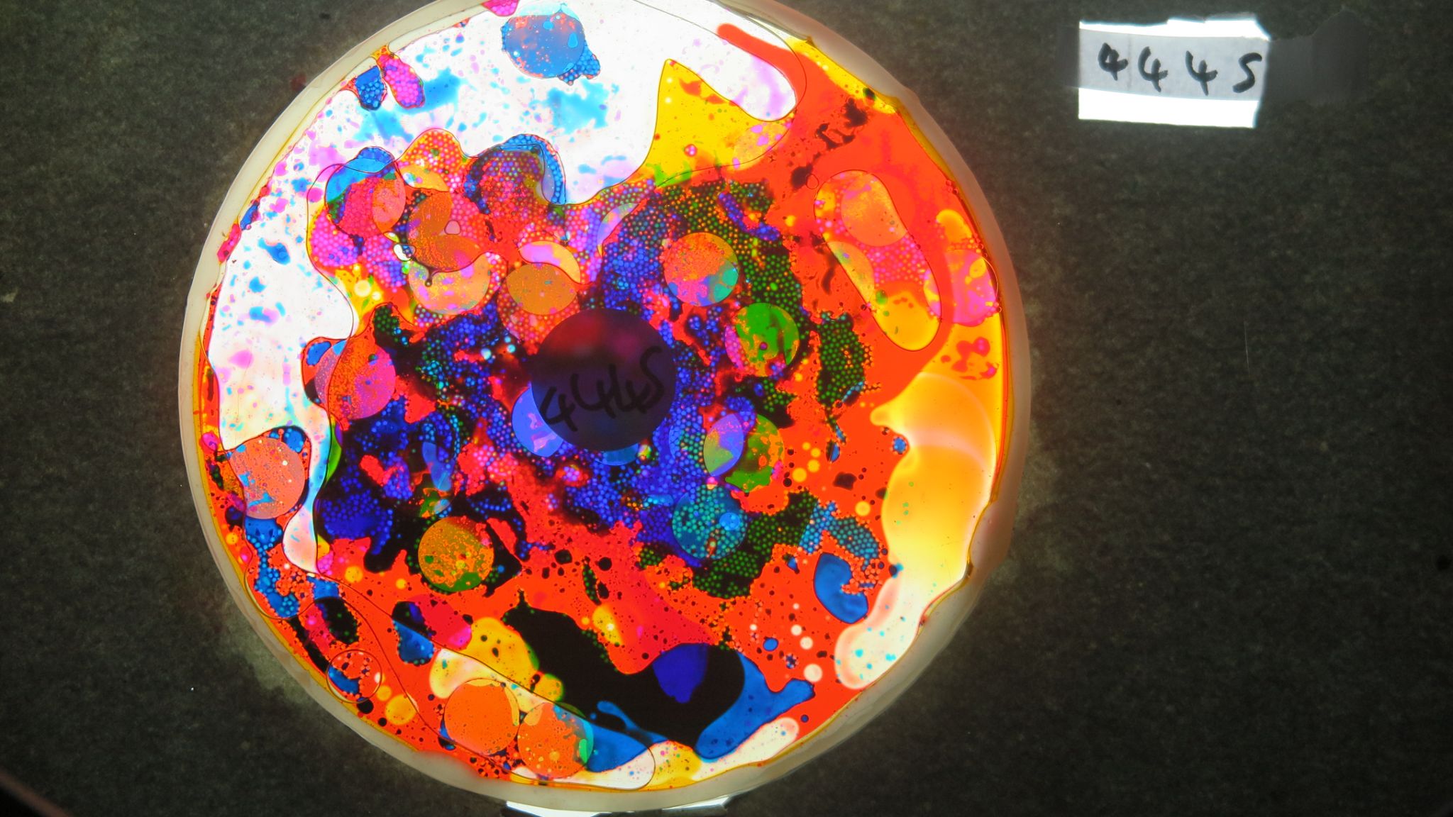 Bubble Vision analogue projection oil wheels effects and lightshows