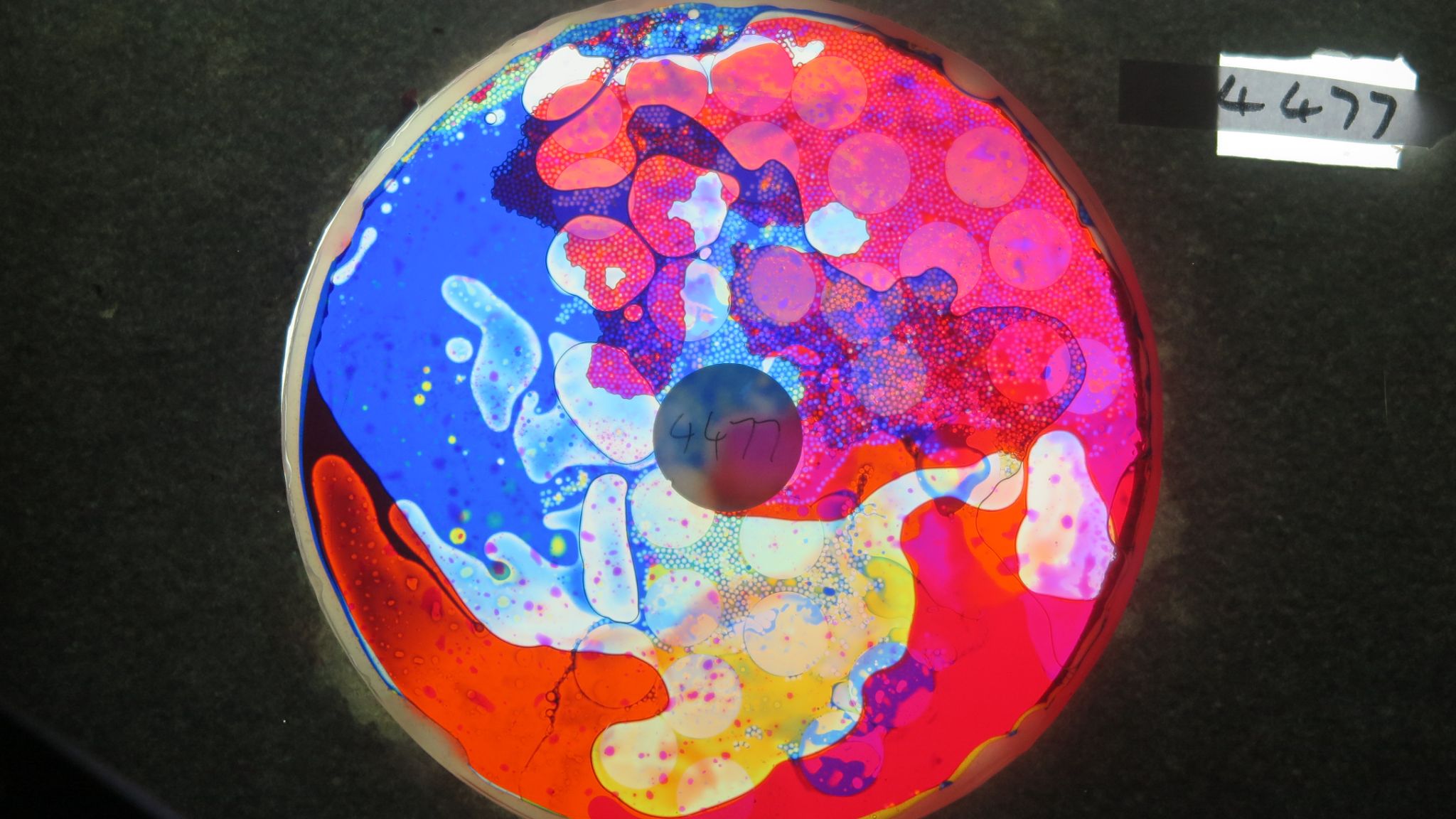 Bubble Vision analogue projection oil wheels effects and lightshows