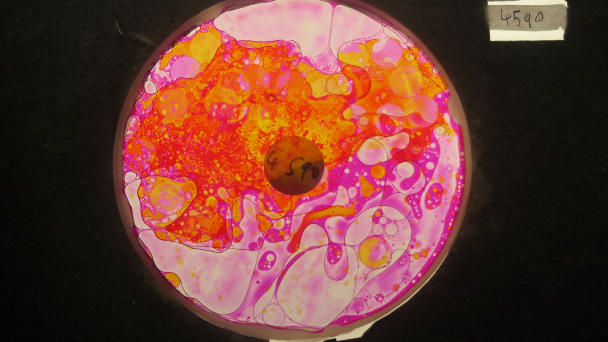 Bubble Vision analogue projection oil wheels effects and lightshows