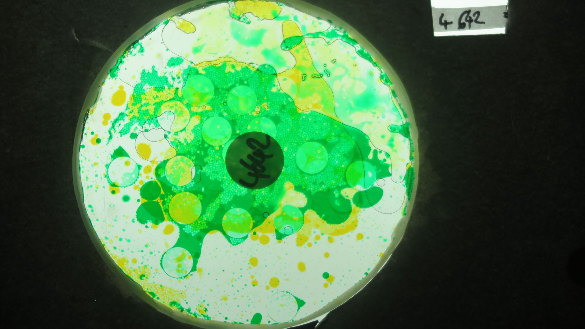 Bubble Vision analogue projection oil wheels effects and lightshows