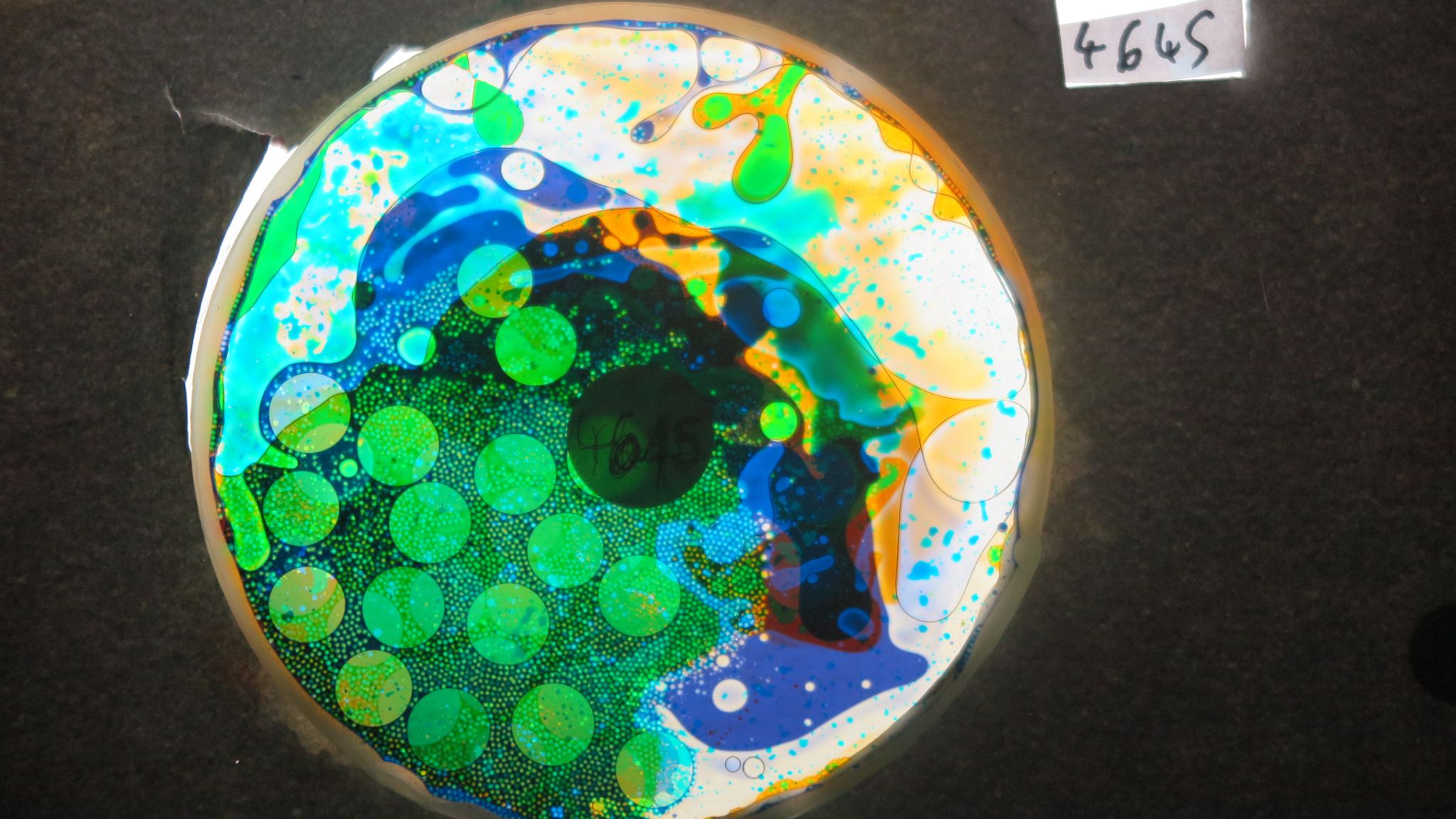 Bubble Vision analogue projection oil wheels effects and lightshows