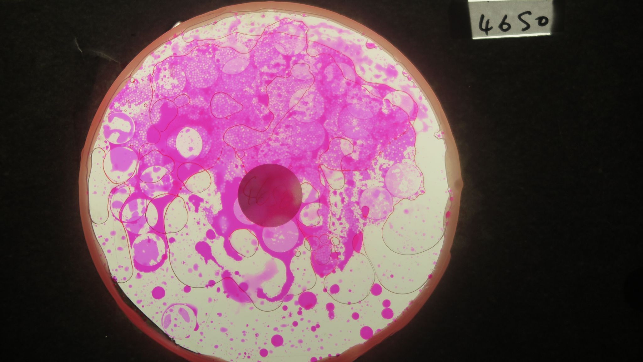 Bubble Vision analogue projection oil wheels effects and lightshows
