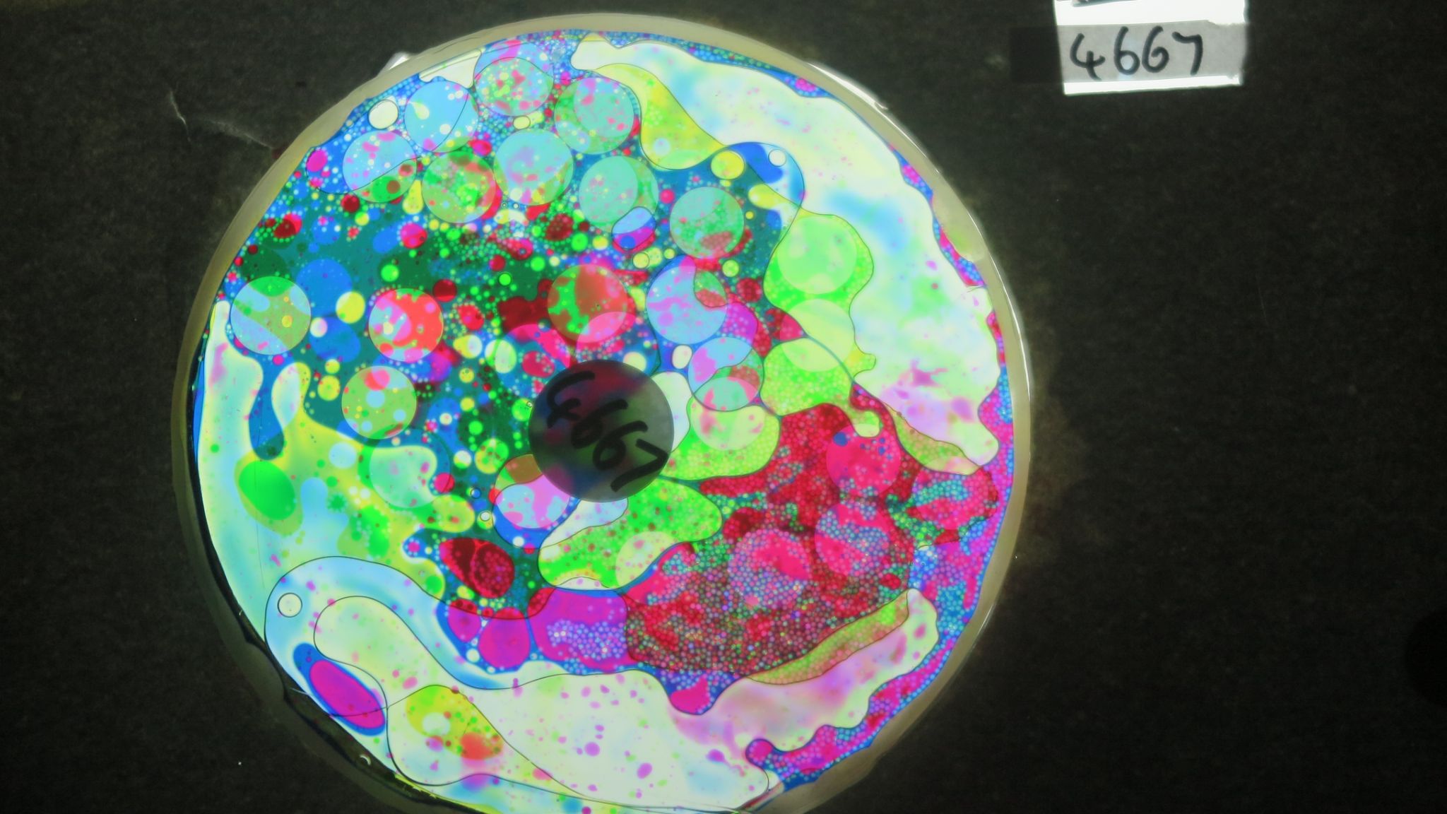 Bubble Vision analogue projection oil wheels effects and lightshows