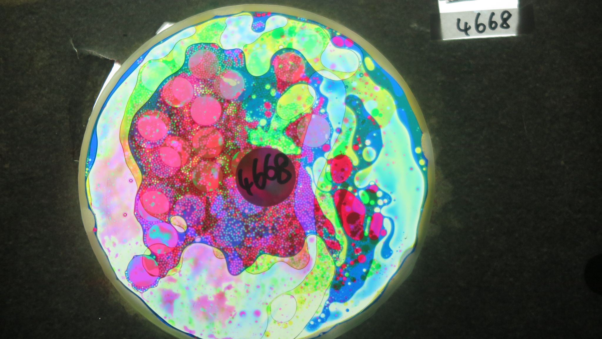 Bubble Vision analogue projection oil wheels effects and lightshows