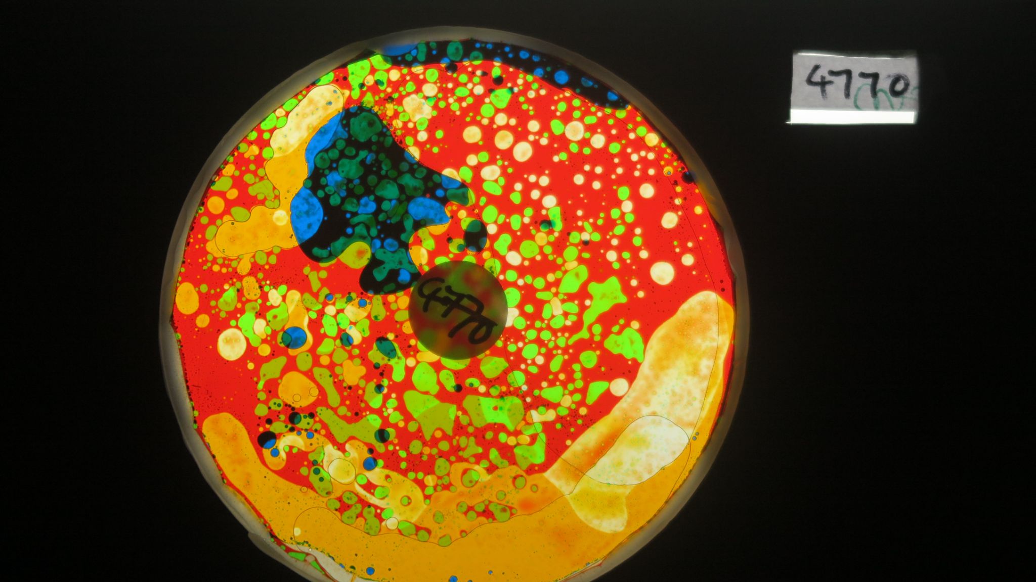 Bubble Vision analogue projection oil wheels effects and lightshows